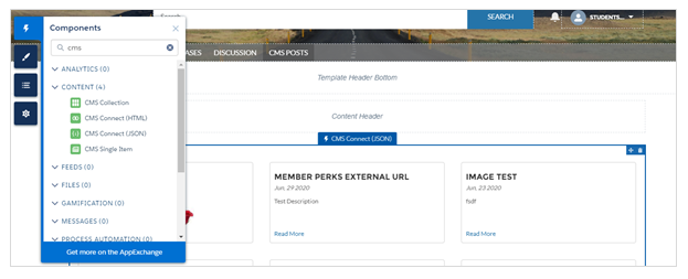 Salesforce Community - CMS Connect | MST Solutions